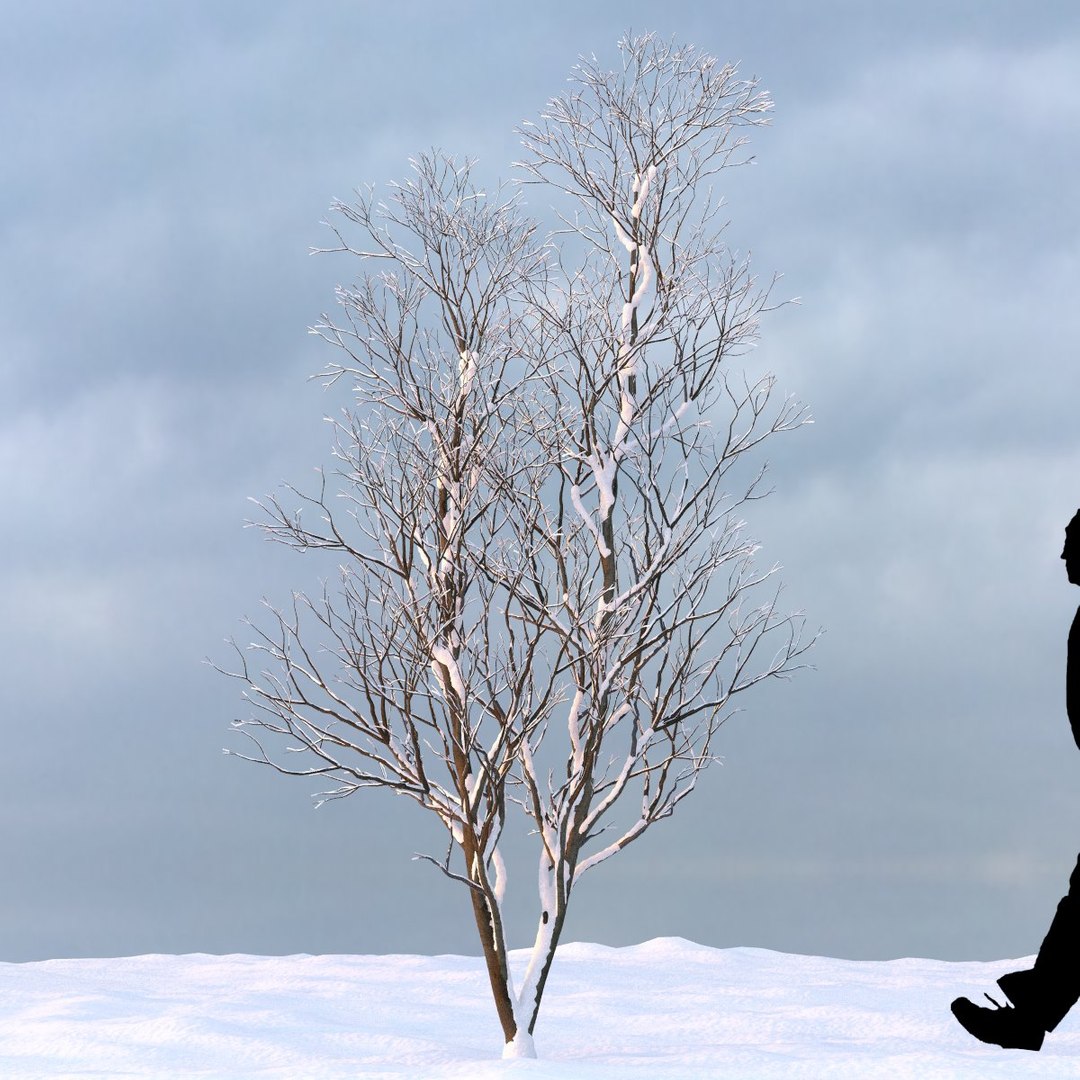 3d winter trees model
