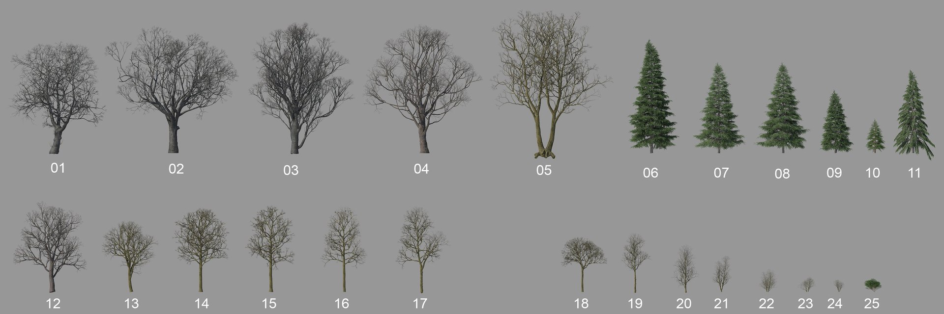 3d Winter Trees Model