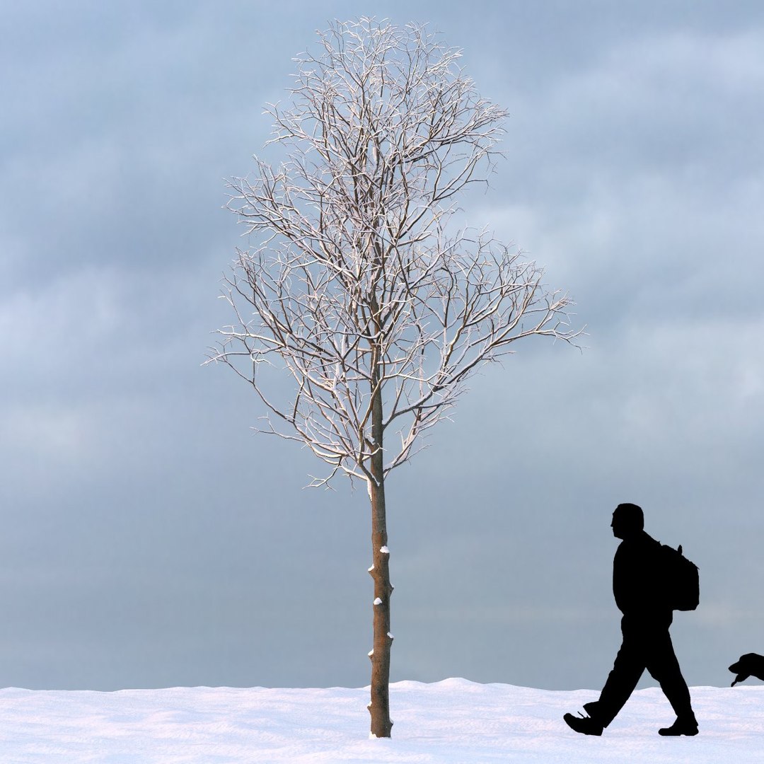 3d winter trees model