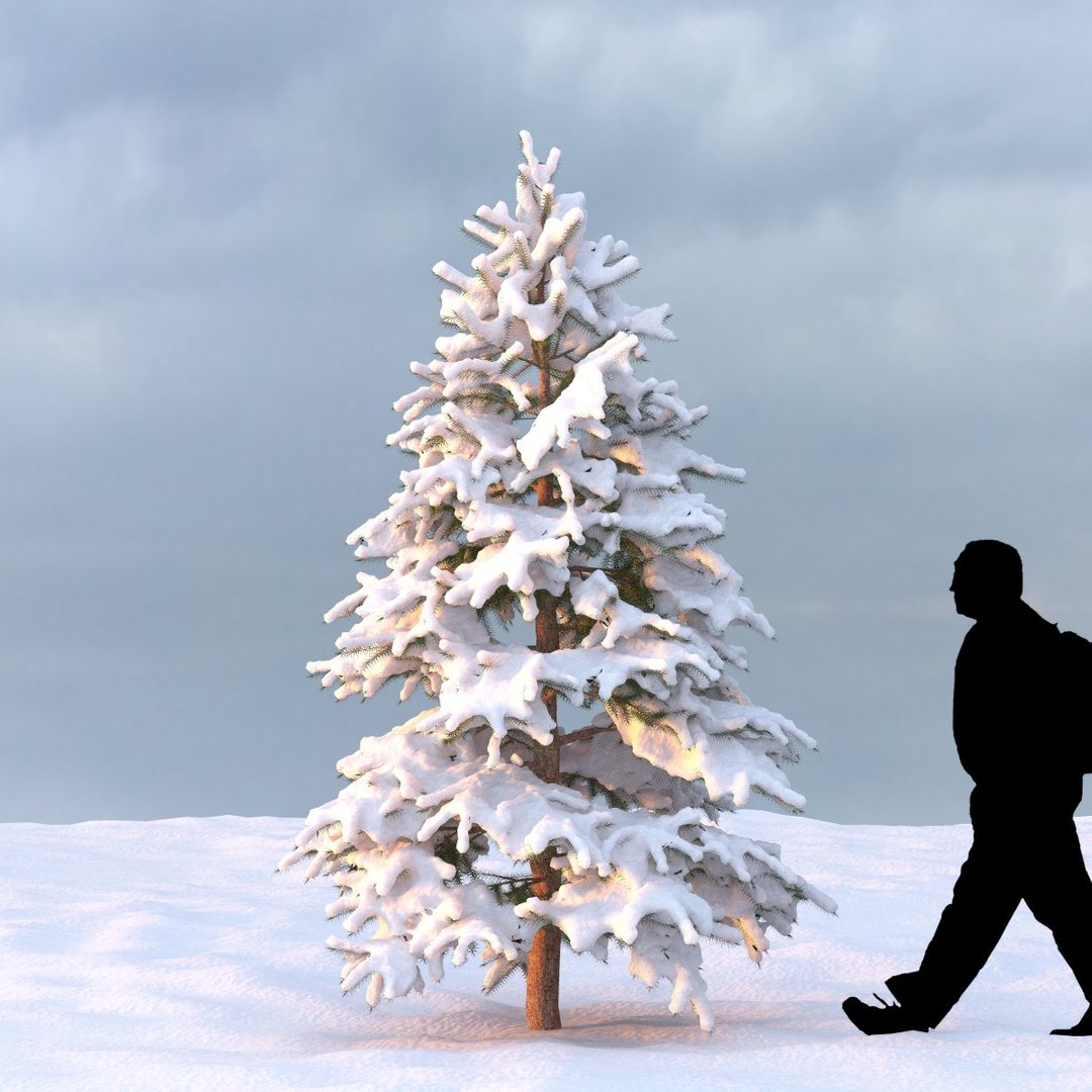 3d Winter Trees Model