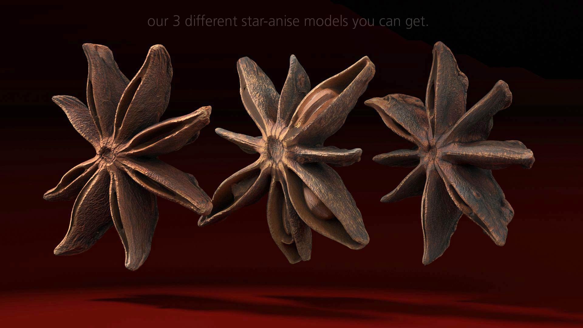 Star-anise Star Anis 3D Model - TurboSquid 1436458