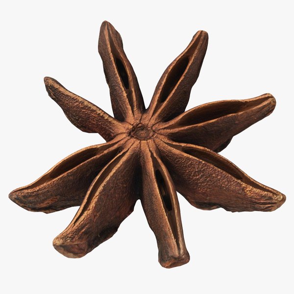 Star-anise star anis 3D model - TurboSquid 1436458