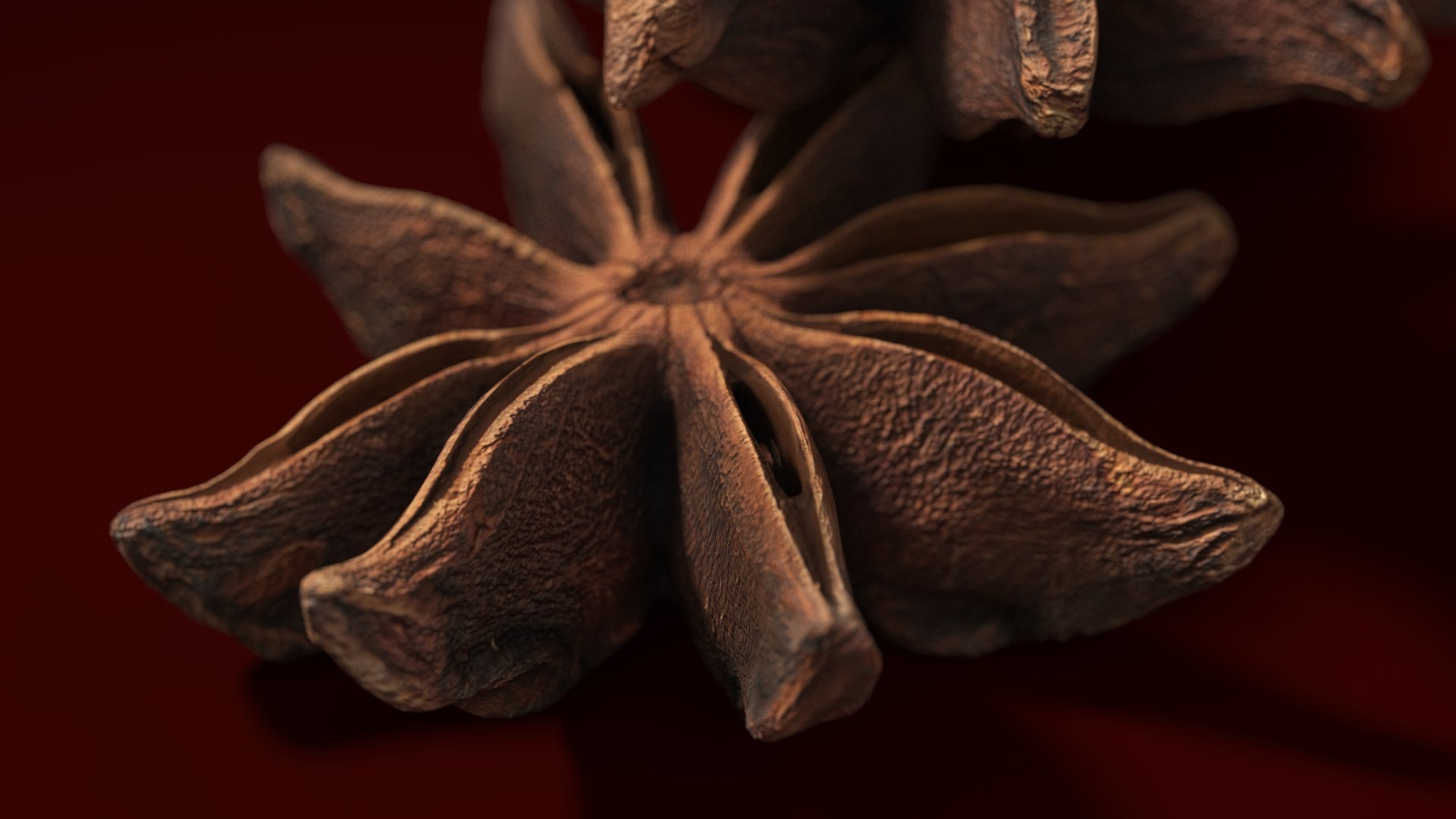 Star-anise Star Anis 3D Model - TurboSquid 1436458