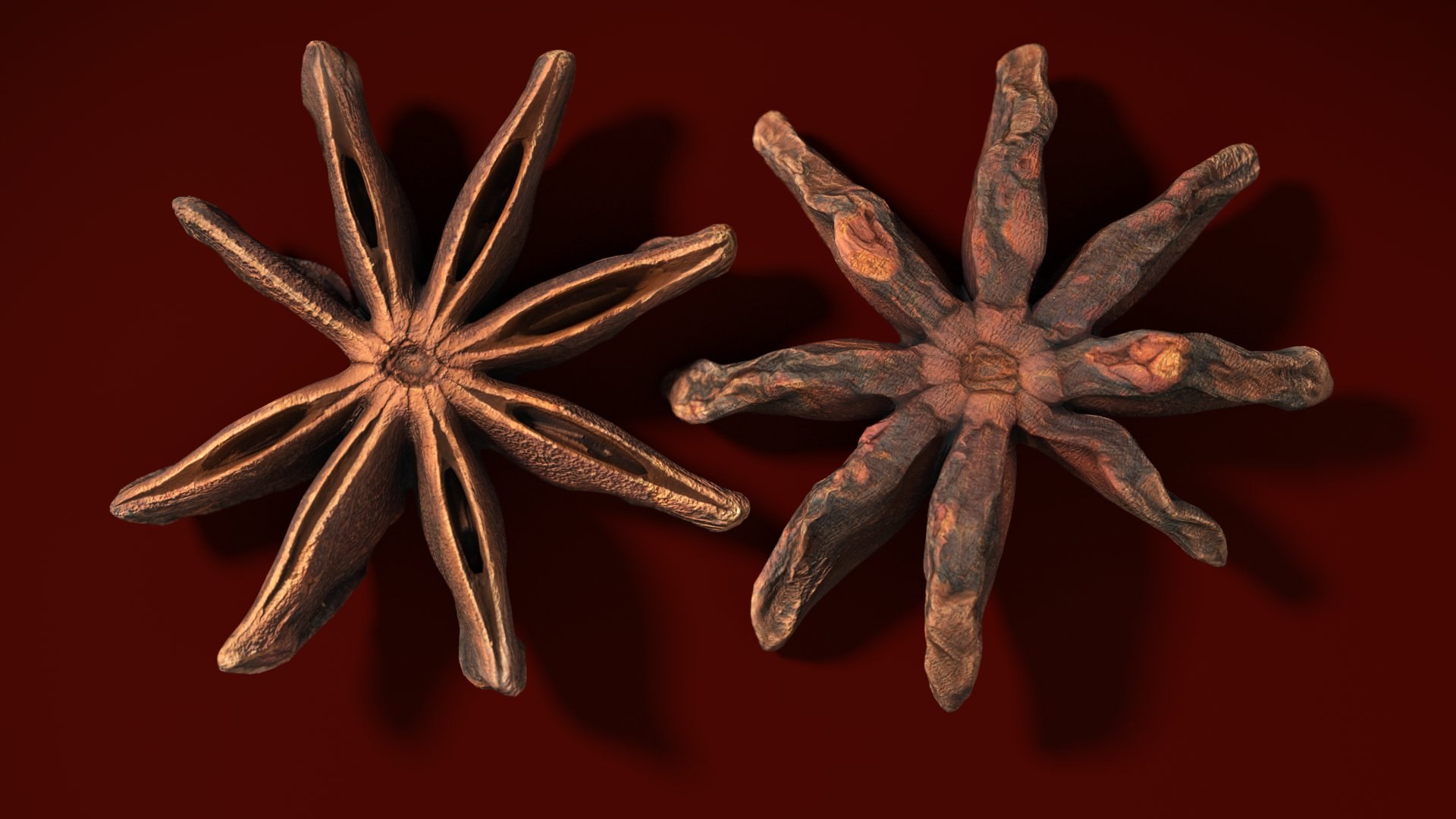 Star-anise Star Anis 3D Model - TurboSquid 1436458