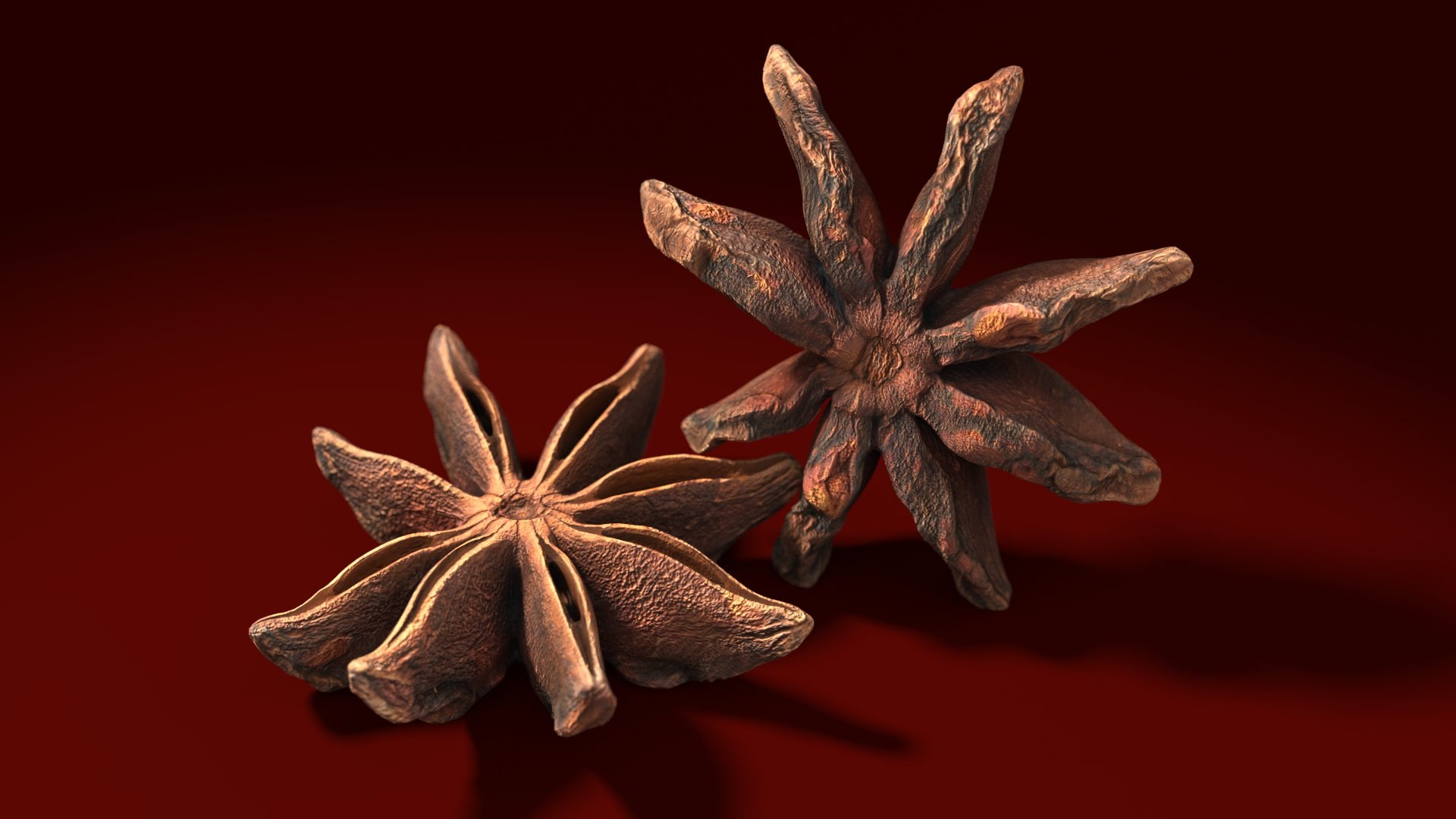 Star-anise Star Anis 3D Model - TurboSquid 1436458