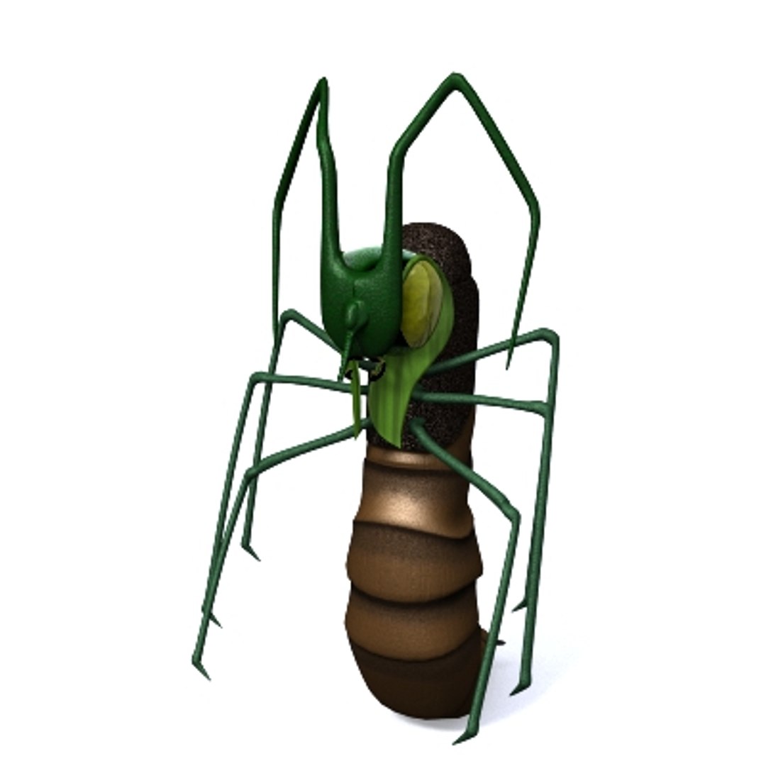 3ds Max Wirrn Doctor