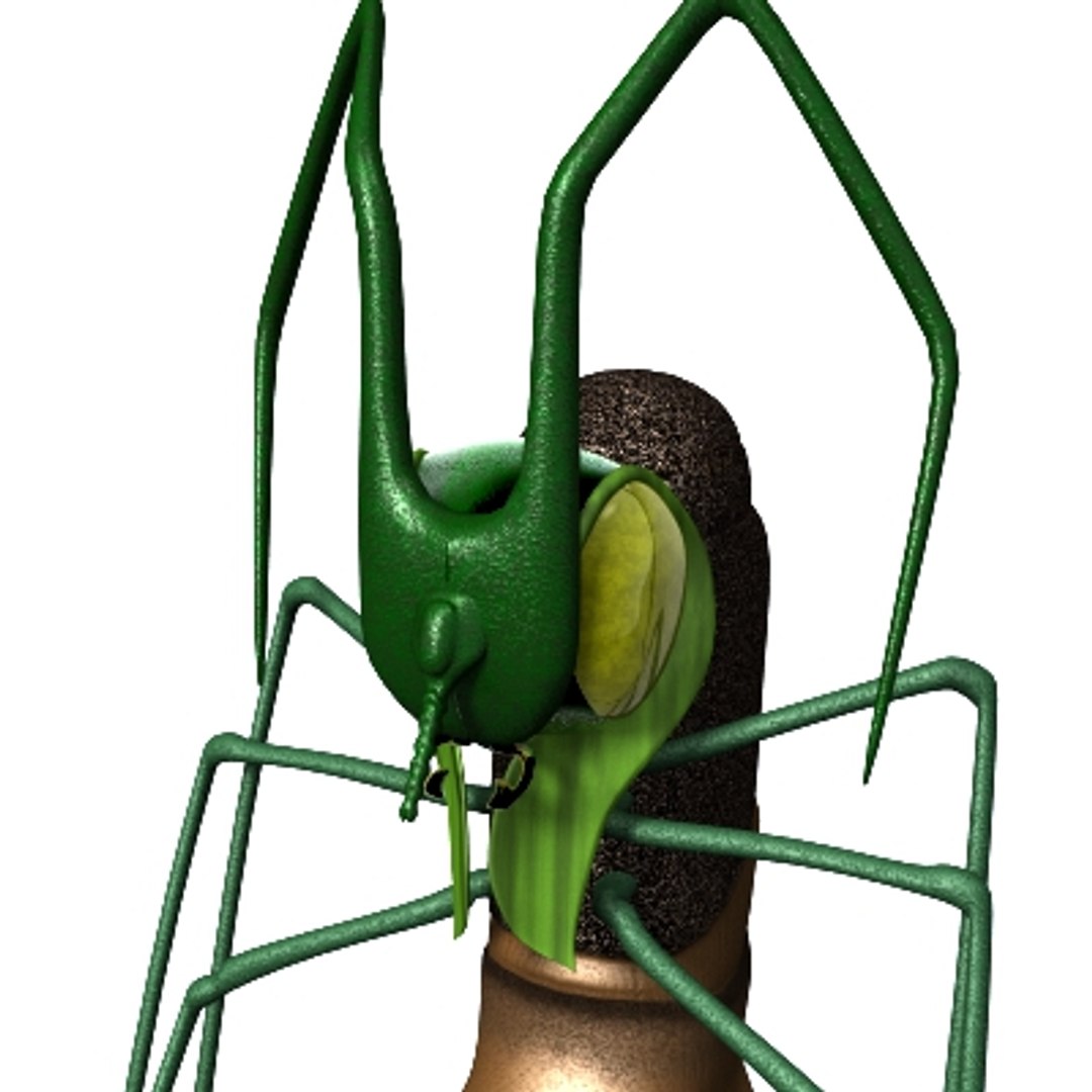 3ds Max Wirrn Doctor