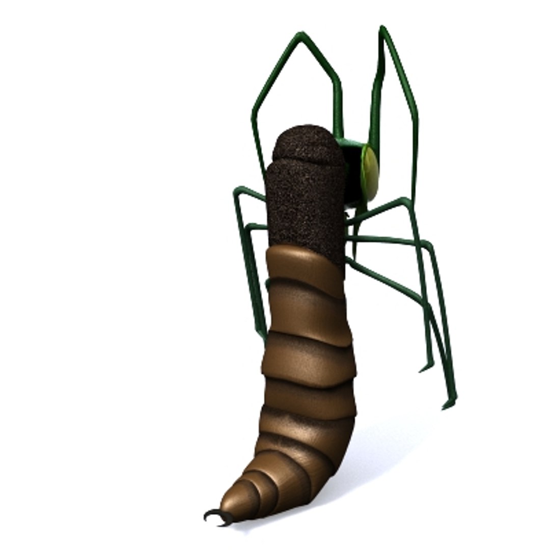 3ds Max Wirrn Doctor