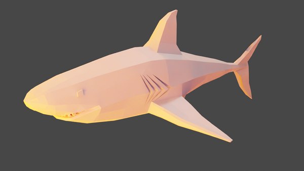Low Poly Shark Model 3D model - TurboSquid 2016439
