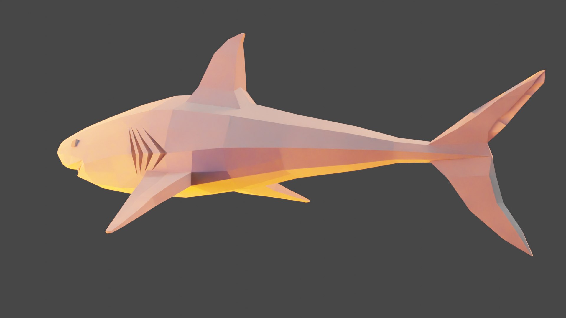 Low Poly Shark Model 3D Model - TurboSquid 2016439