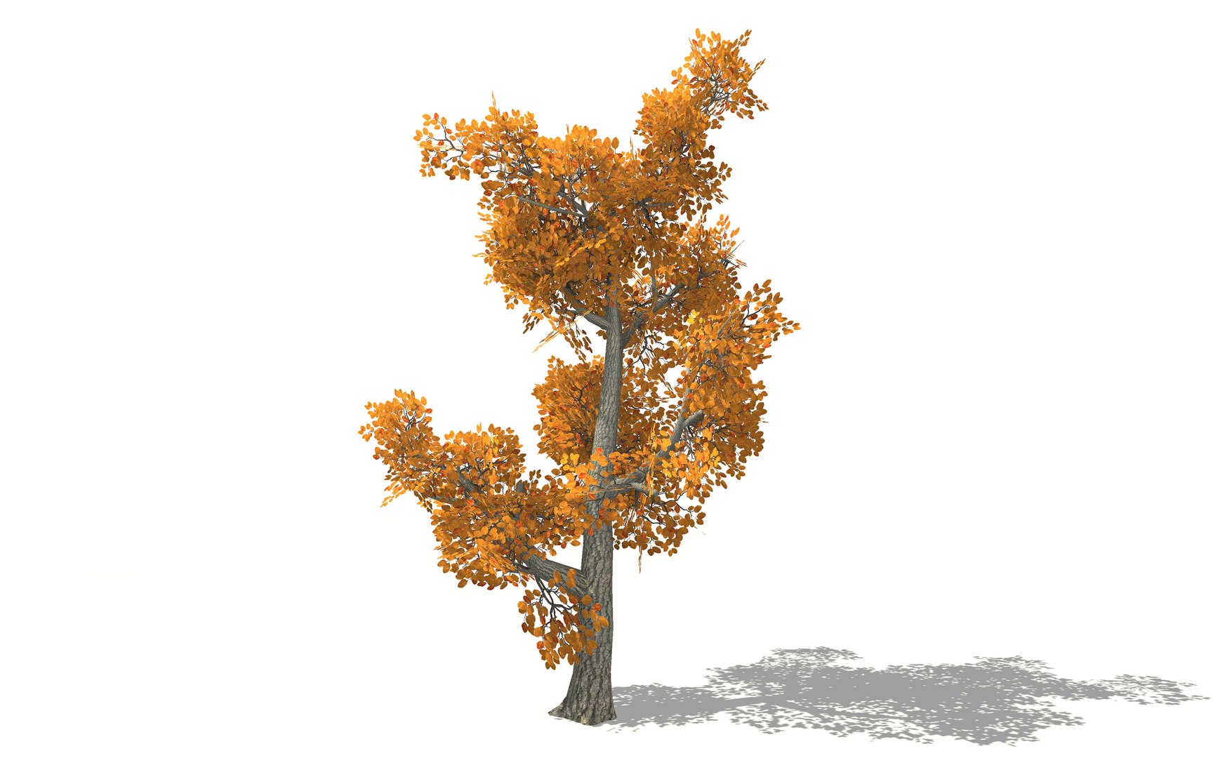 Realistic Tree Bark 3D Model - TurboSquid 1516268