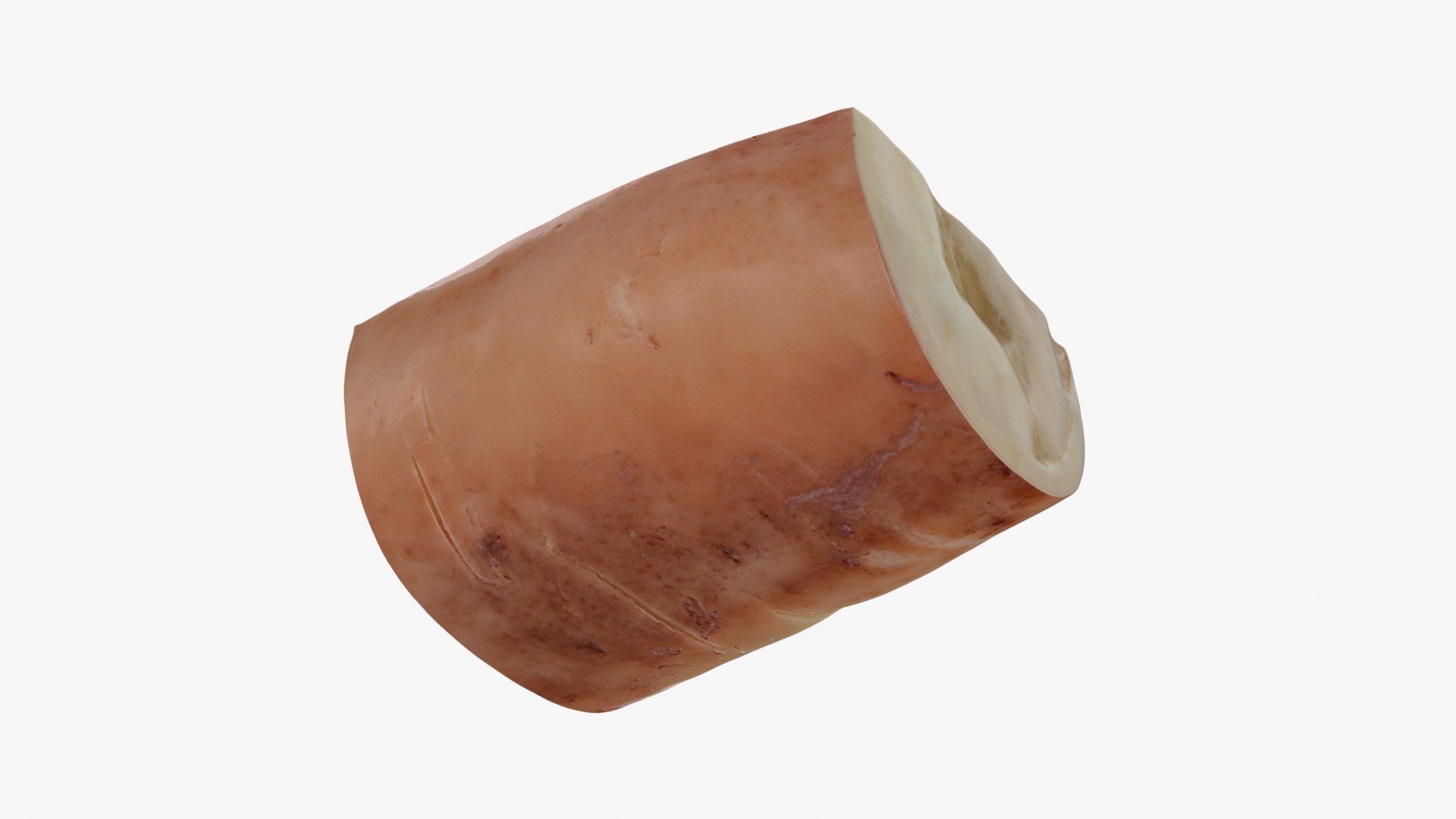 Grilled Squid Cut 3D Model - TurboSquid 2190141