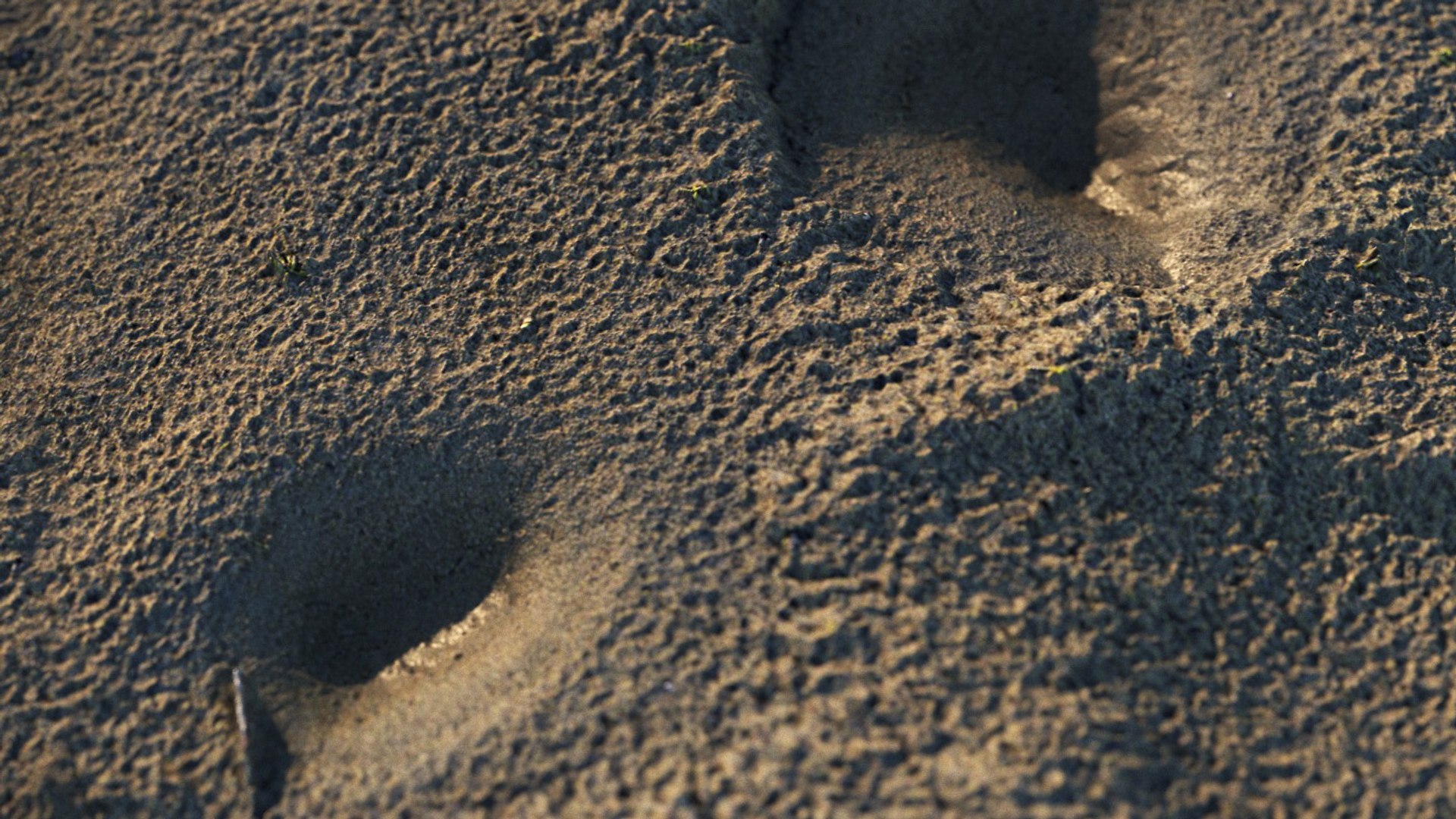 Wet Mud Material 01 3D Model - TurboSquid 1965503