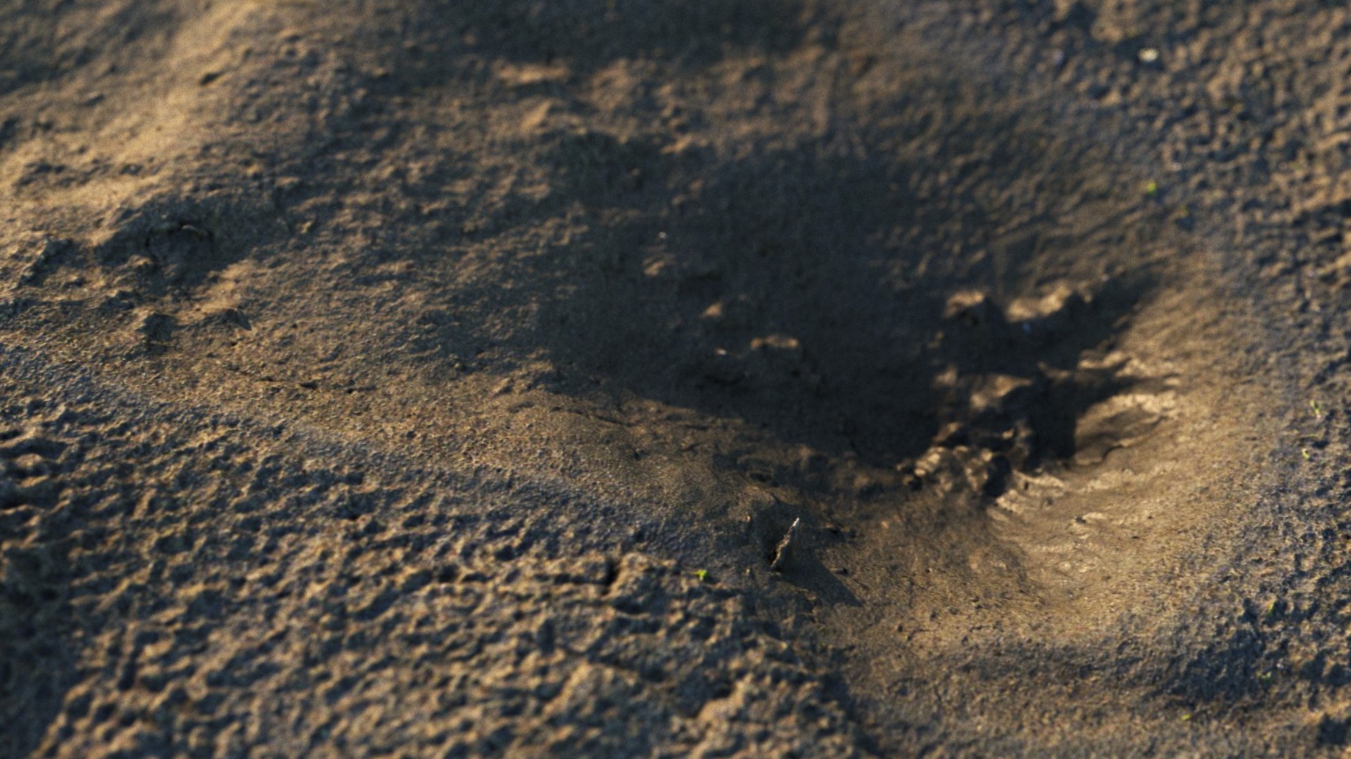 Wet Mud Material 01 3D Model - TurboSquid 1965503