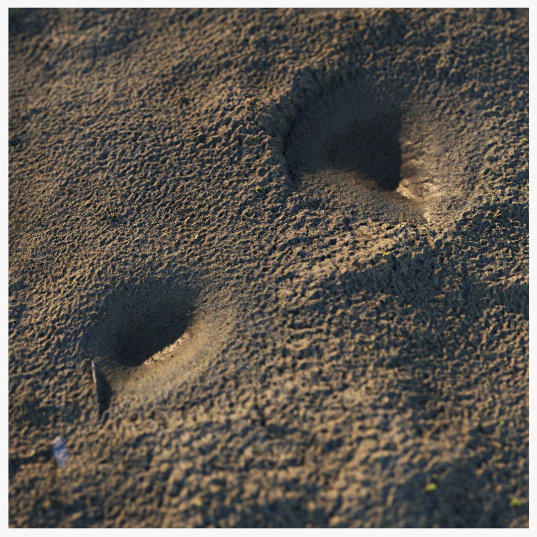 Wet Mud Material 01 3D model - TurboSquid 1965503