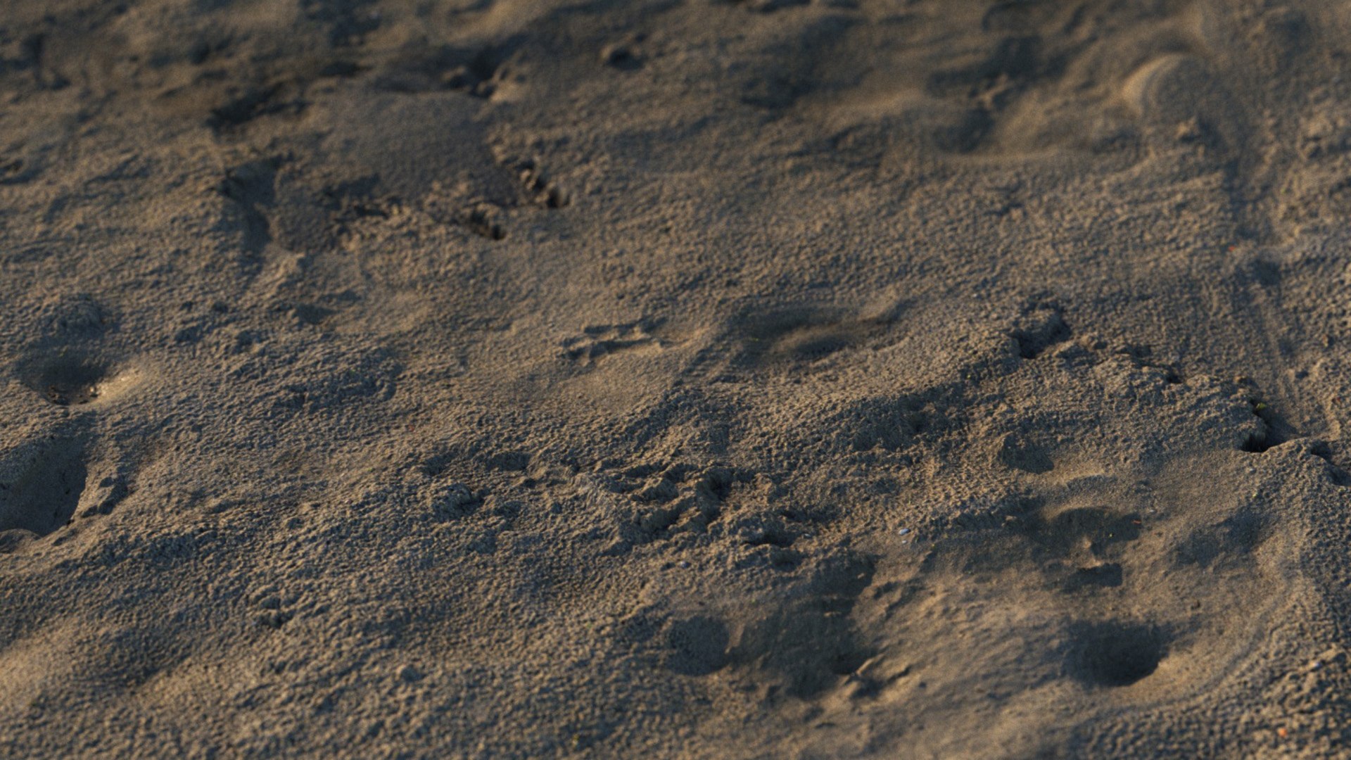 Wet Mud Material 01 3D Model - TurboSquid 1965503