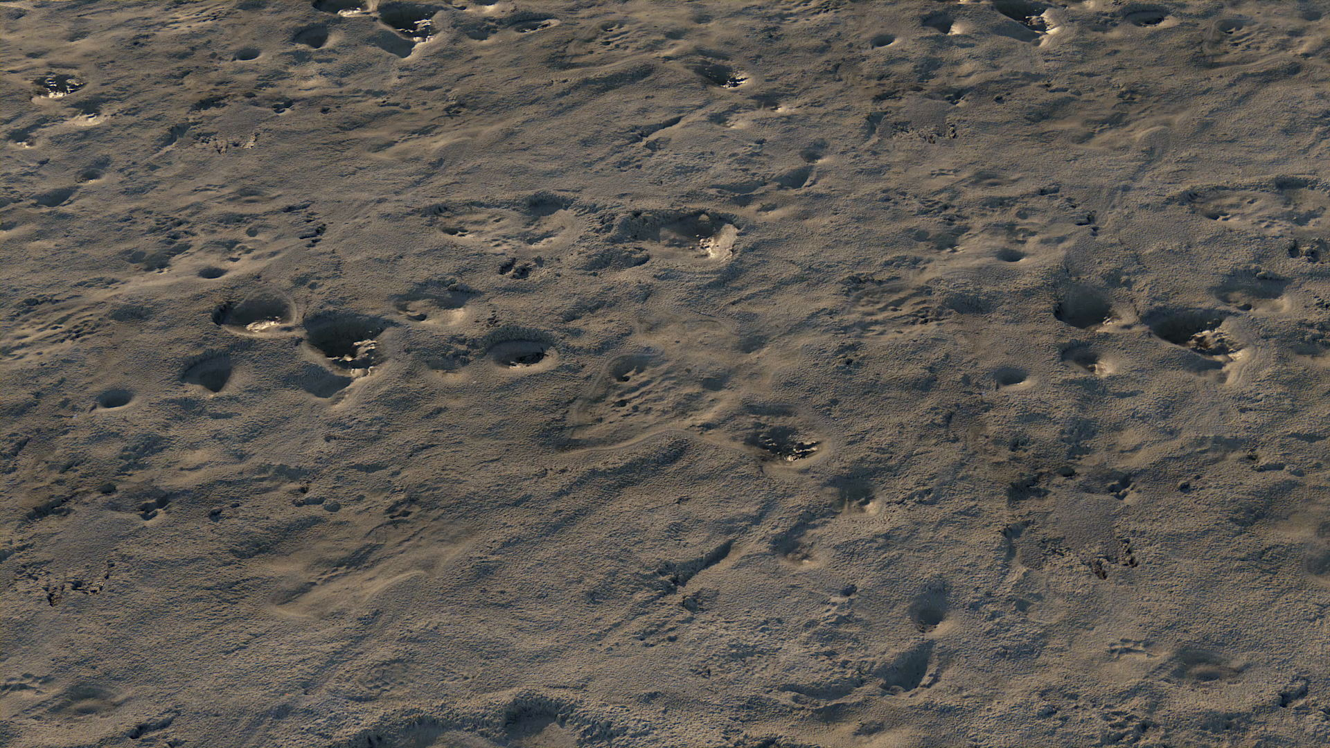 Wet Mud Material 01 3D Model - TurboSquid 1965503