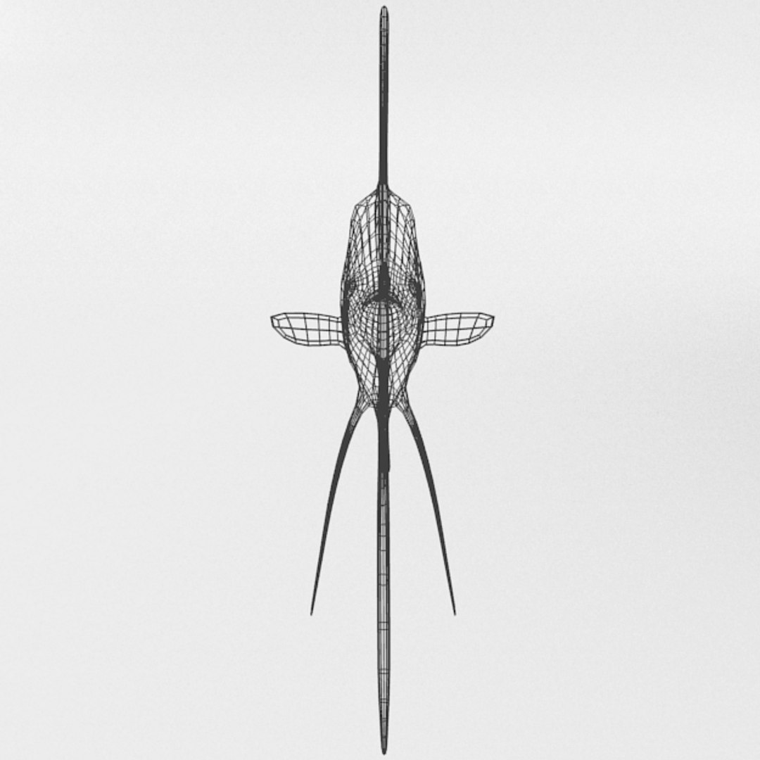 Scalar Fish 3D Model - TurboSquid 1316808