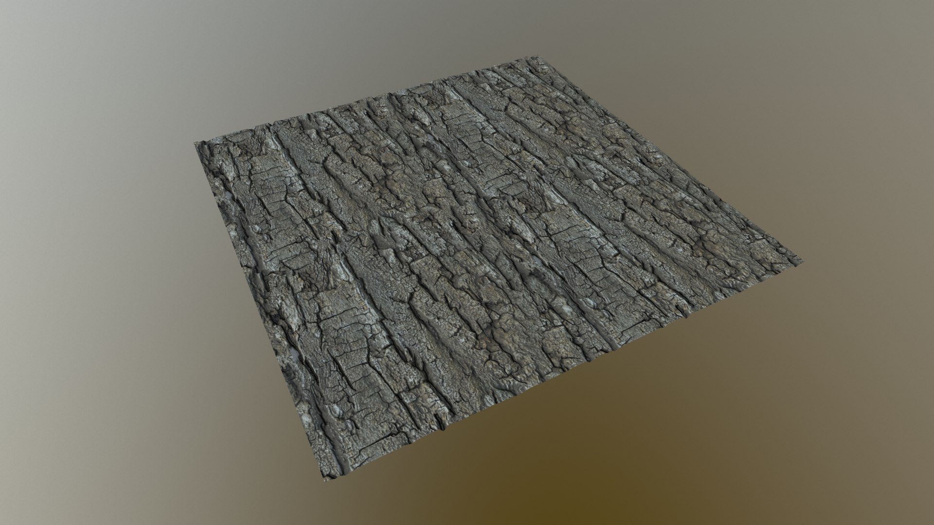 3D Tree Bark Model - TurboSquid 2153859