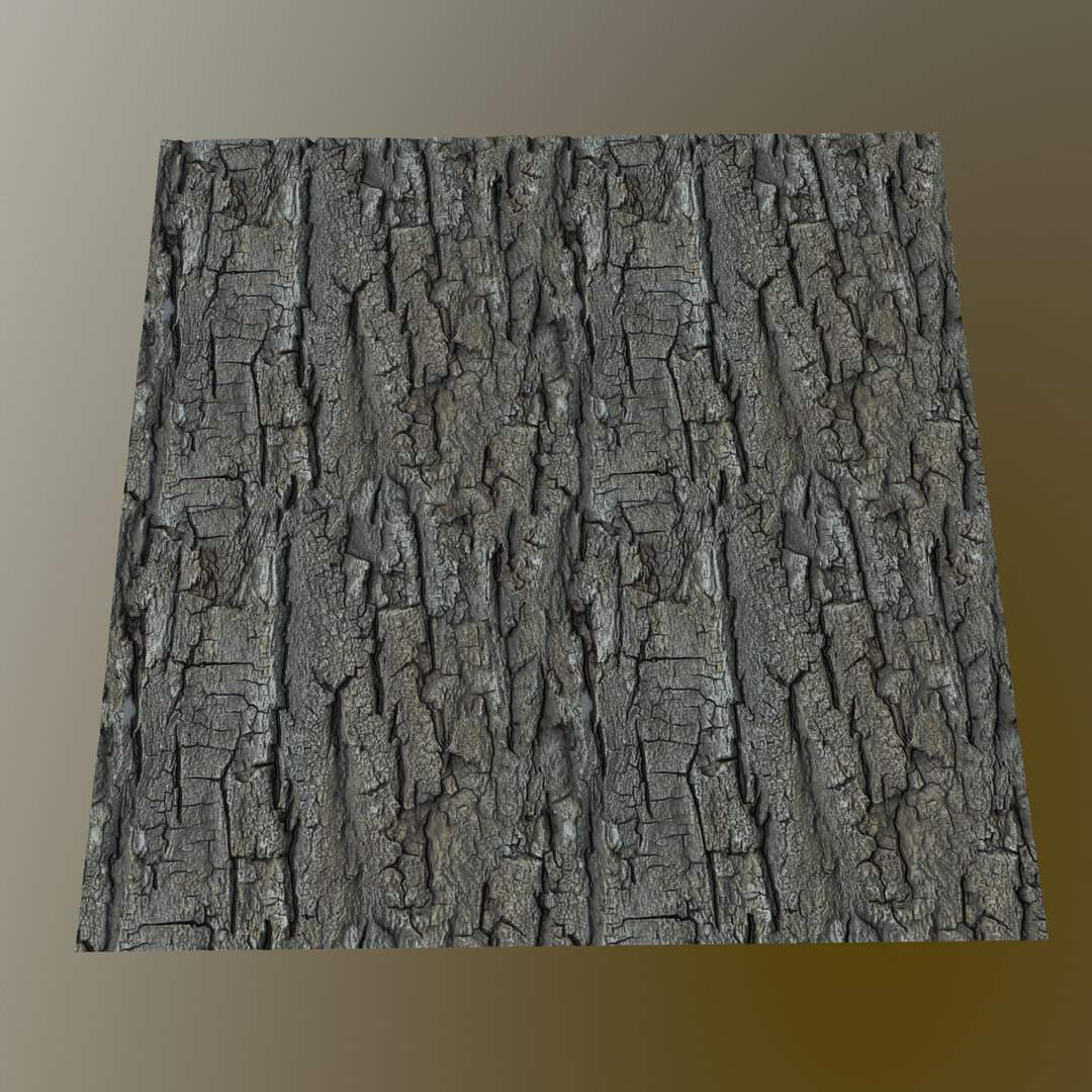 3D Tree Bark Model - TurboSquid 2153859