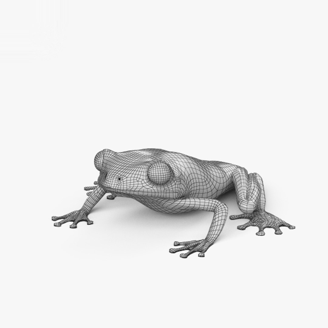 Tree Frog Model - TurboSquid 1438367