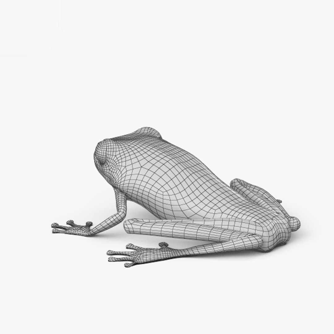 Tree Frog Model - TurboSquid 1438367