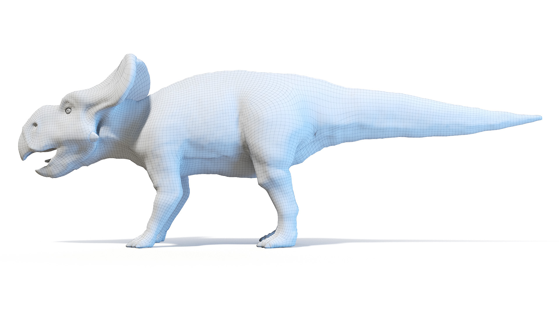 3D Protoceratops Static - TurboSquid 1901403