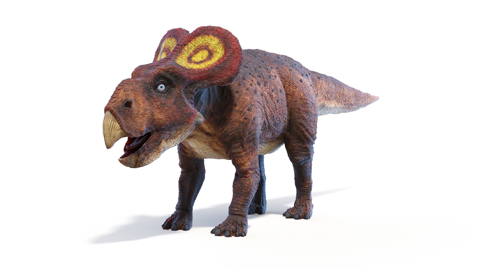 3D Protoceratops Static - TurboSquid 1901403