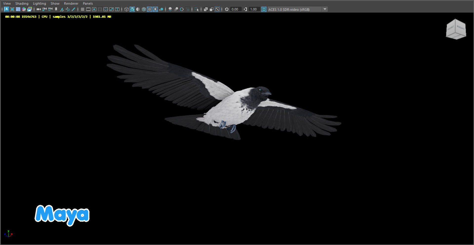 3D Animated Realistic Hooded Crow - TurboSquid 2170028