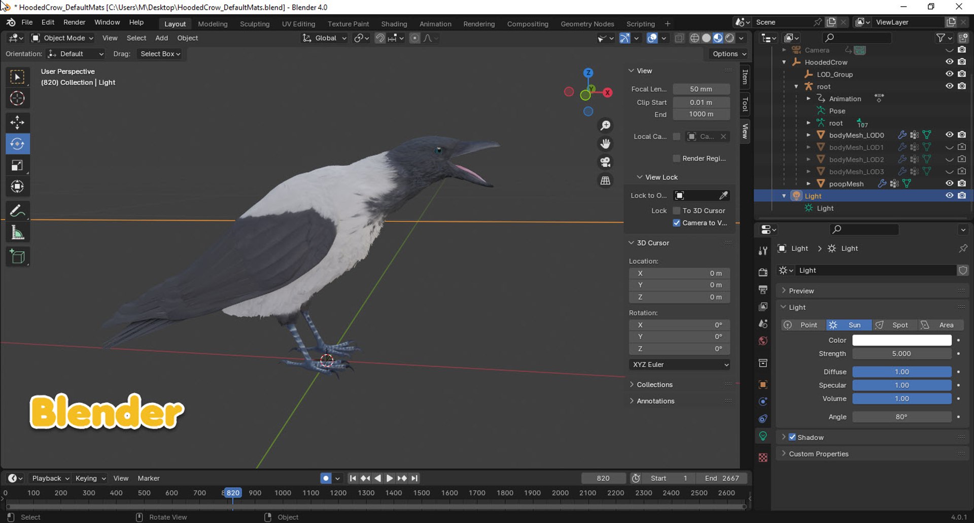 3D Animated Realistic Hooded Crow - TurboSquid 2170028