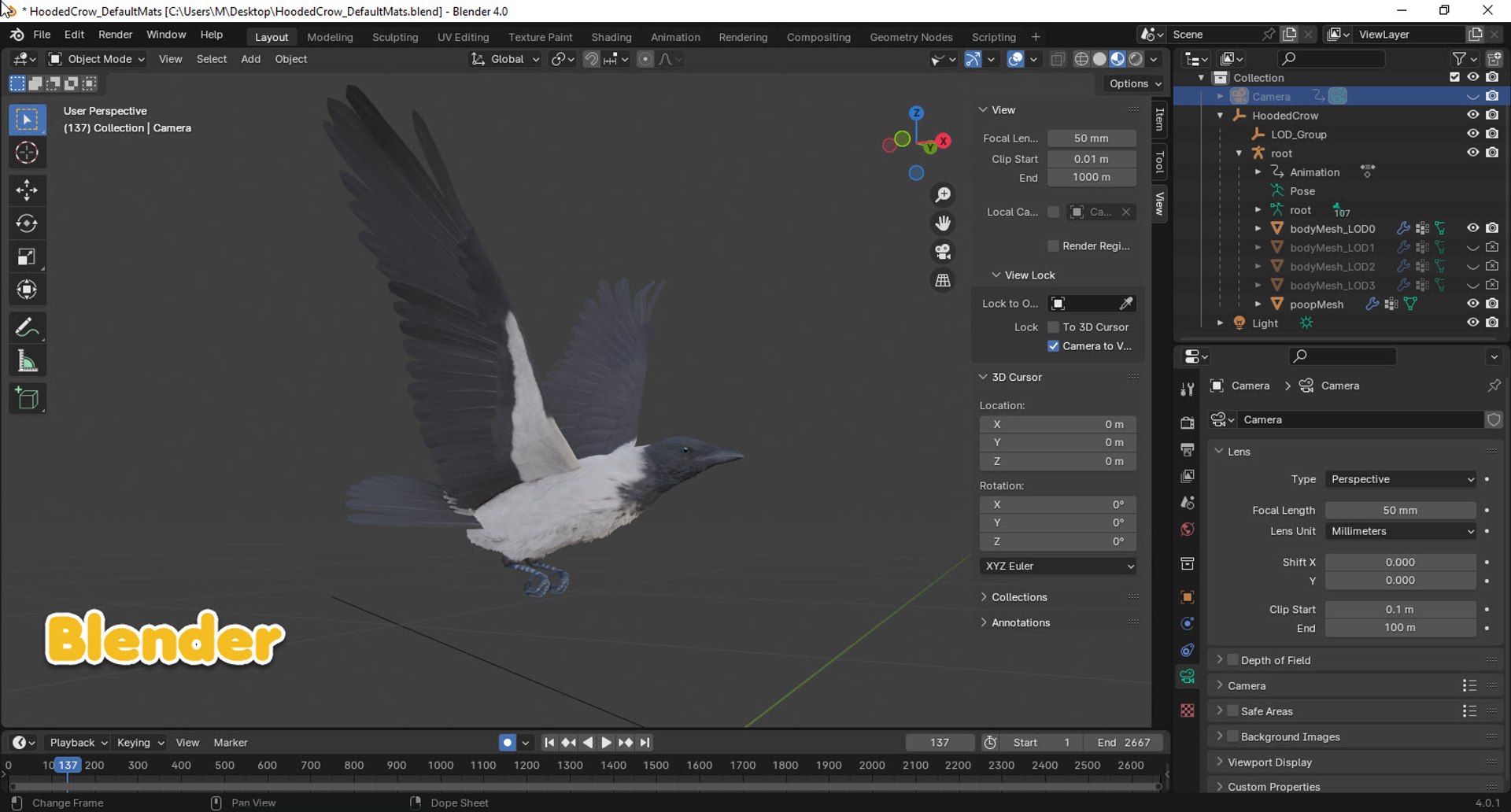 3D Animated Realistic Hooded Crow - TurboSquid 2170028