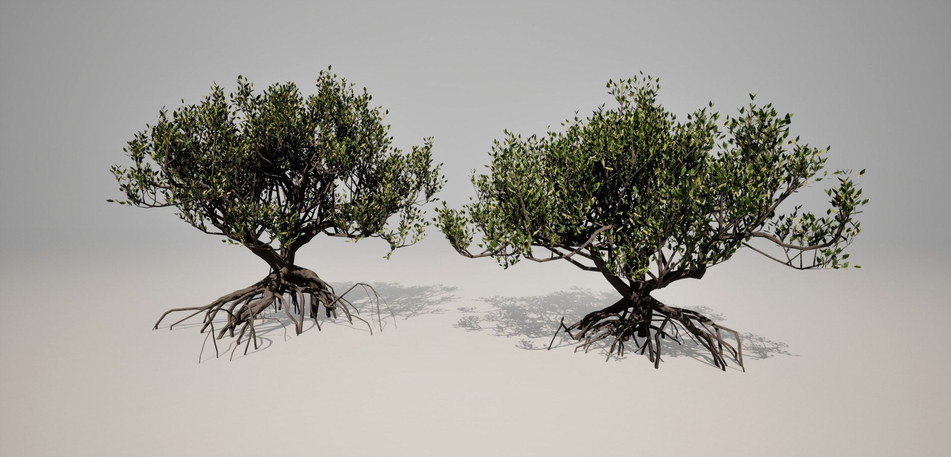 Mangrove 3D Models 3D - TurboSquid 2213031