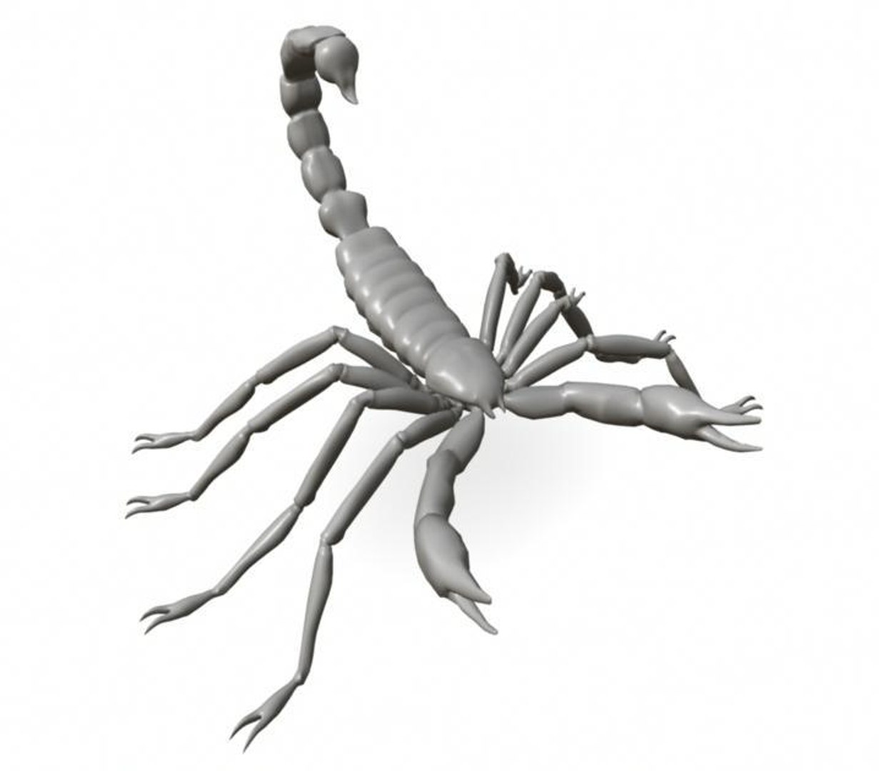 3d Scorpion Model