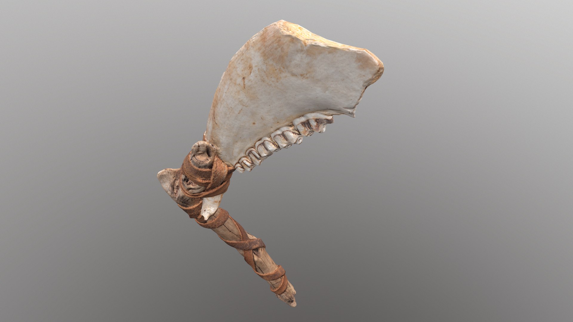 Real Axe Bone 3D Model - TurboSquid 1589121