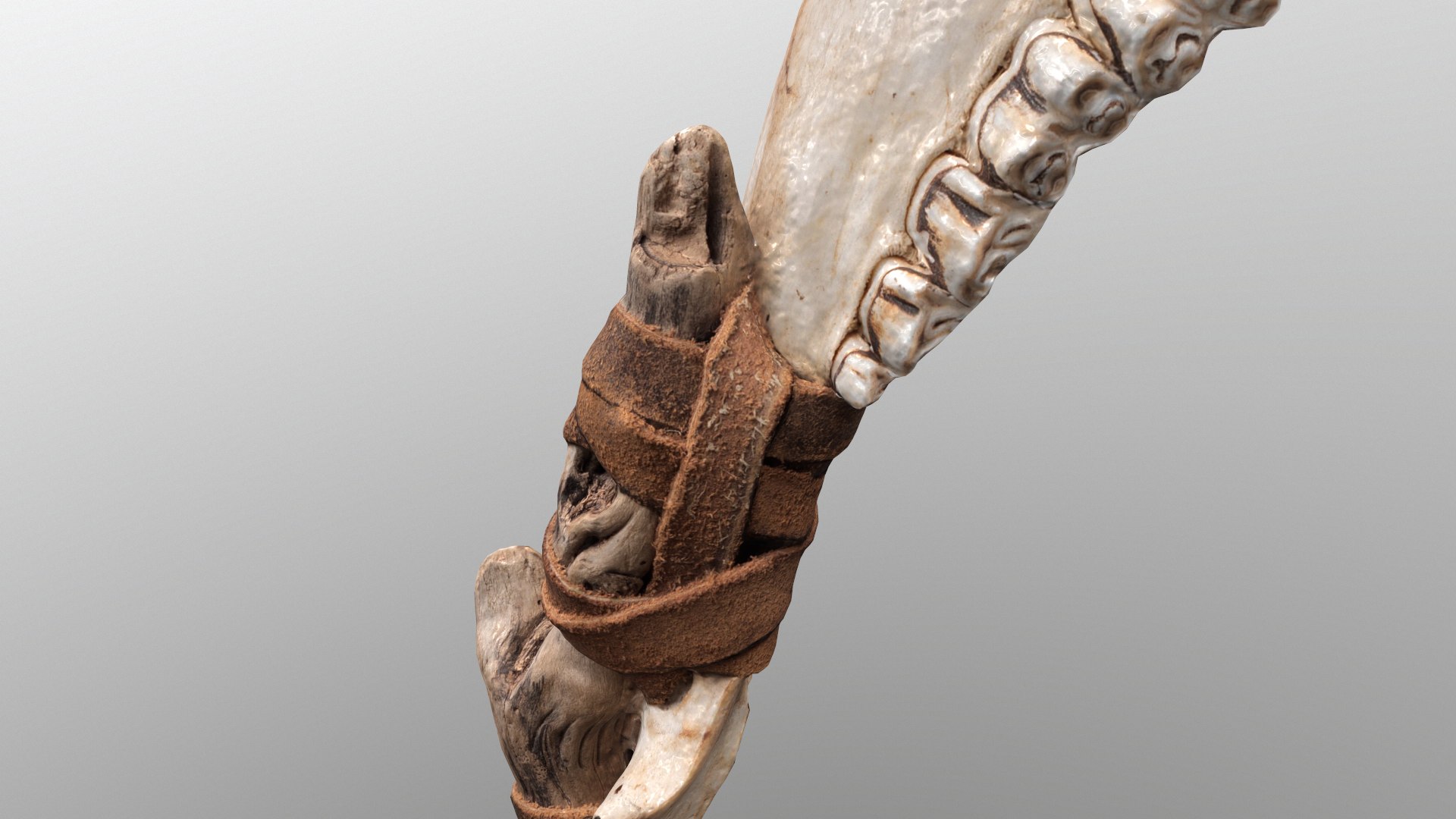 Real Axe Bone 3D Model - TurboSquid 1589121