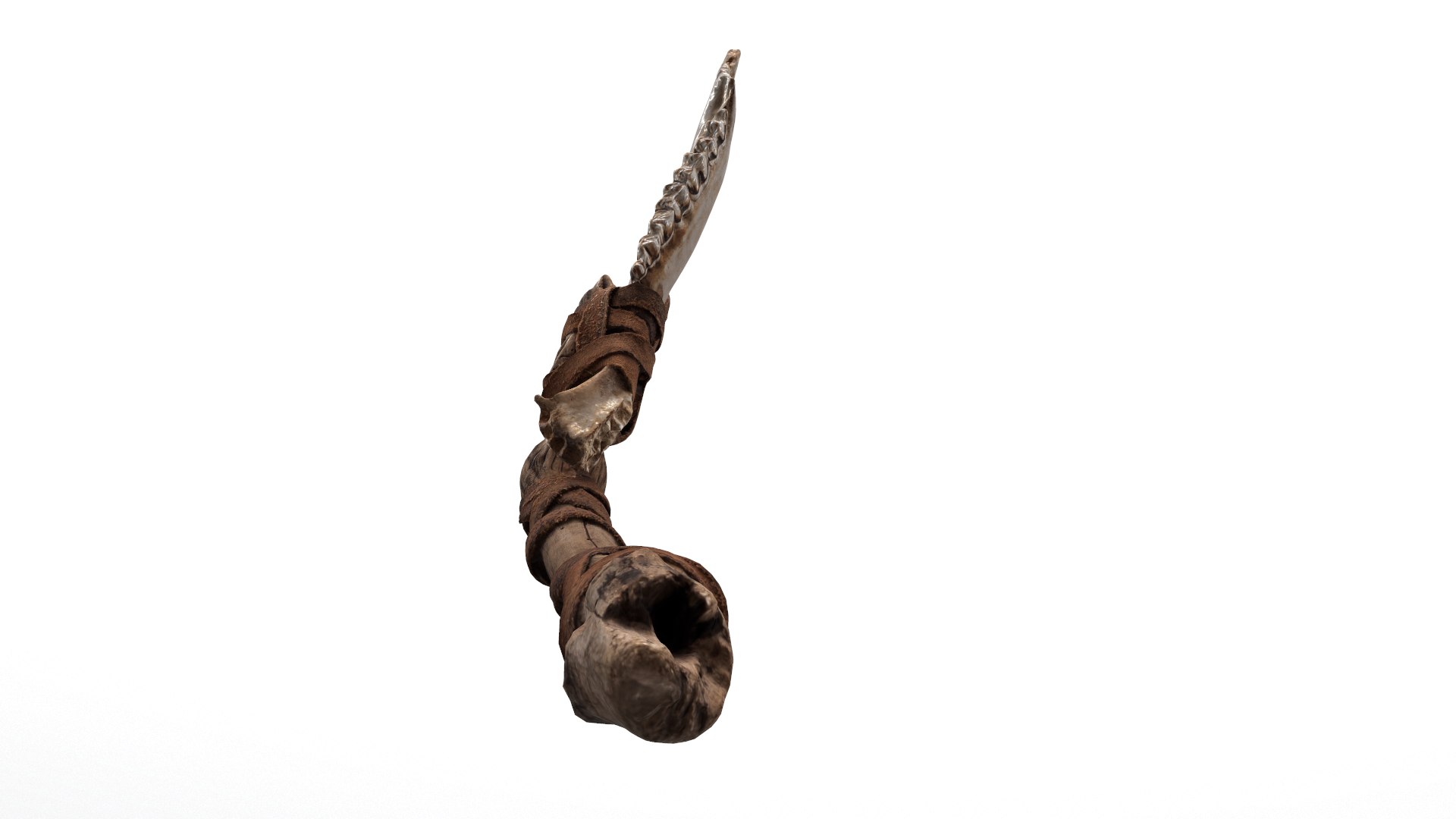 Real Axe Bone 3D Model - TurboSquid 1589121