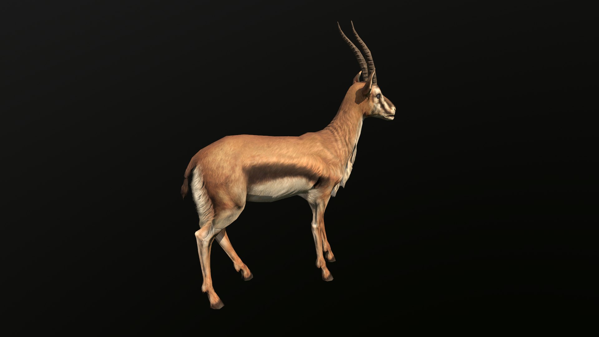 animierte Antilope 3D-Modell - TurboSquid 1924716