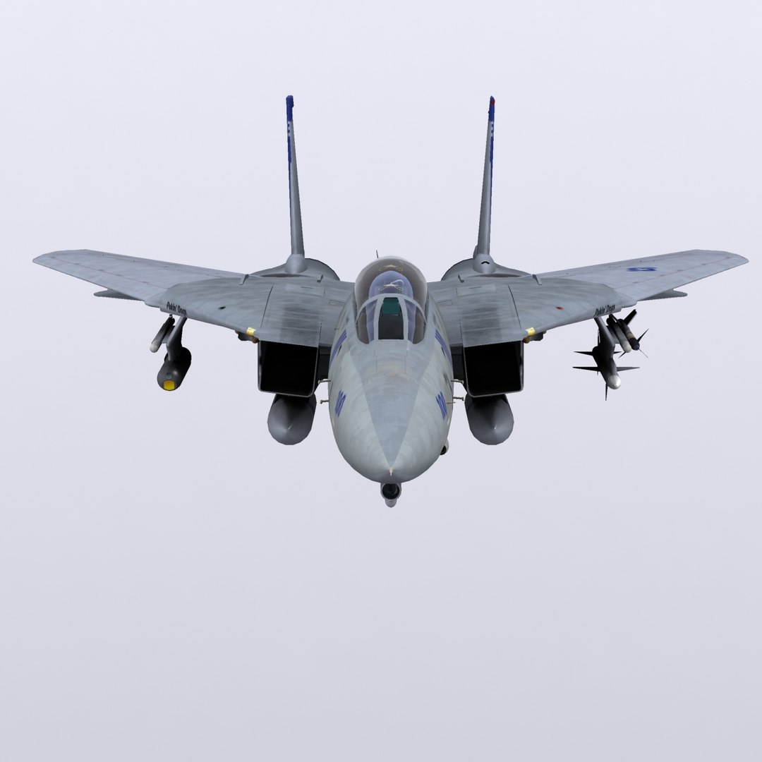 3ds Max F-14 Fighter Jet F-14b
