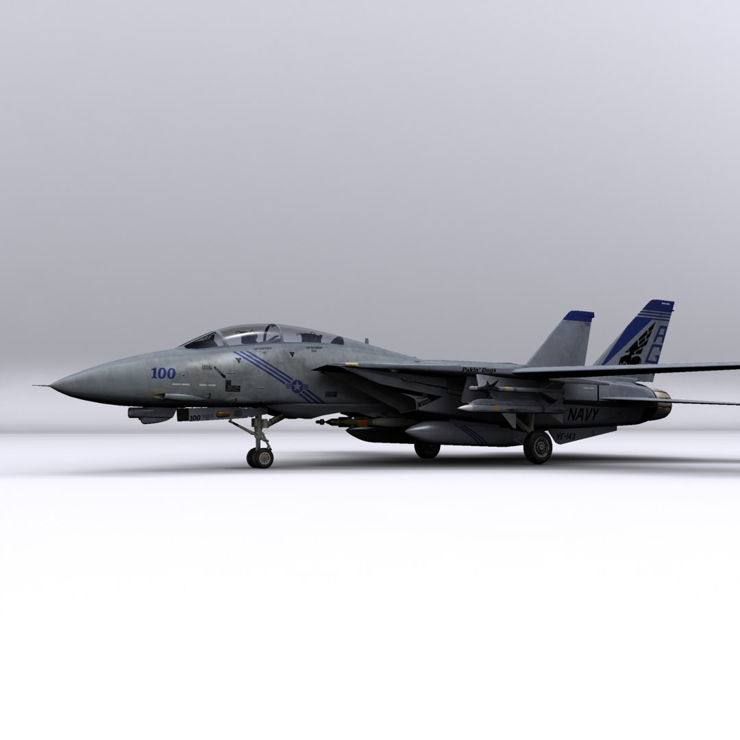 3ds Max F-14 Fighter Jet F-14b