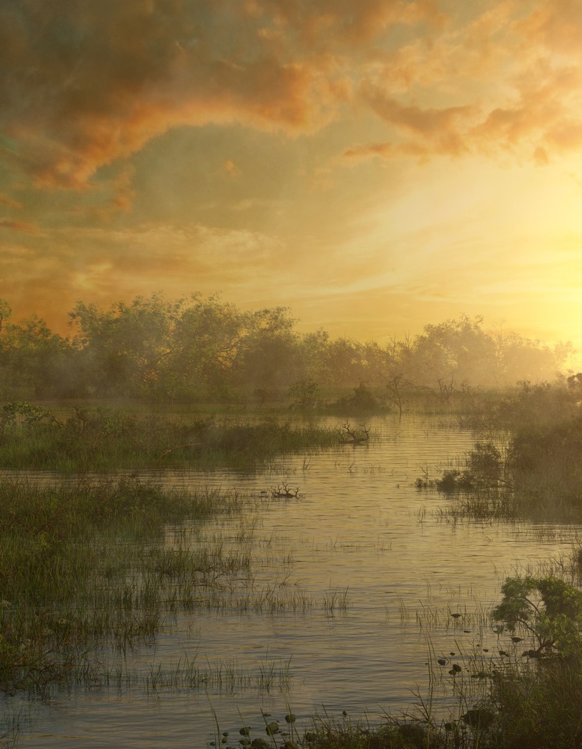 Sunset Swamp Environment 3D Model - TurboSquid 2150978