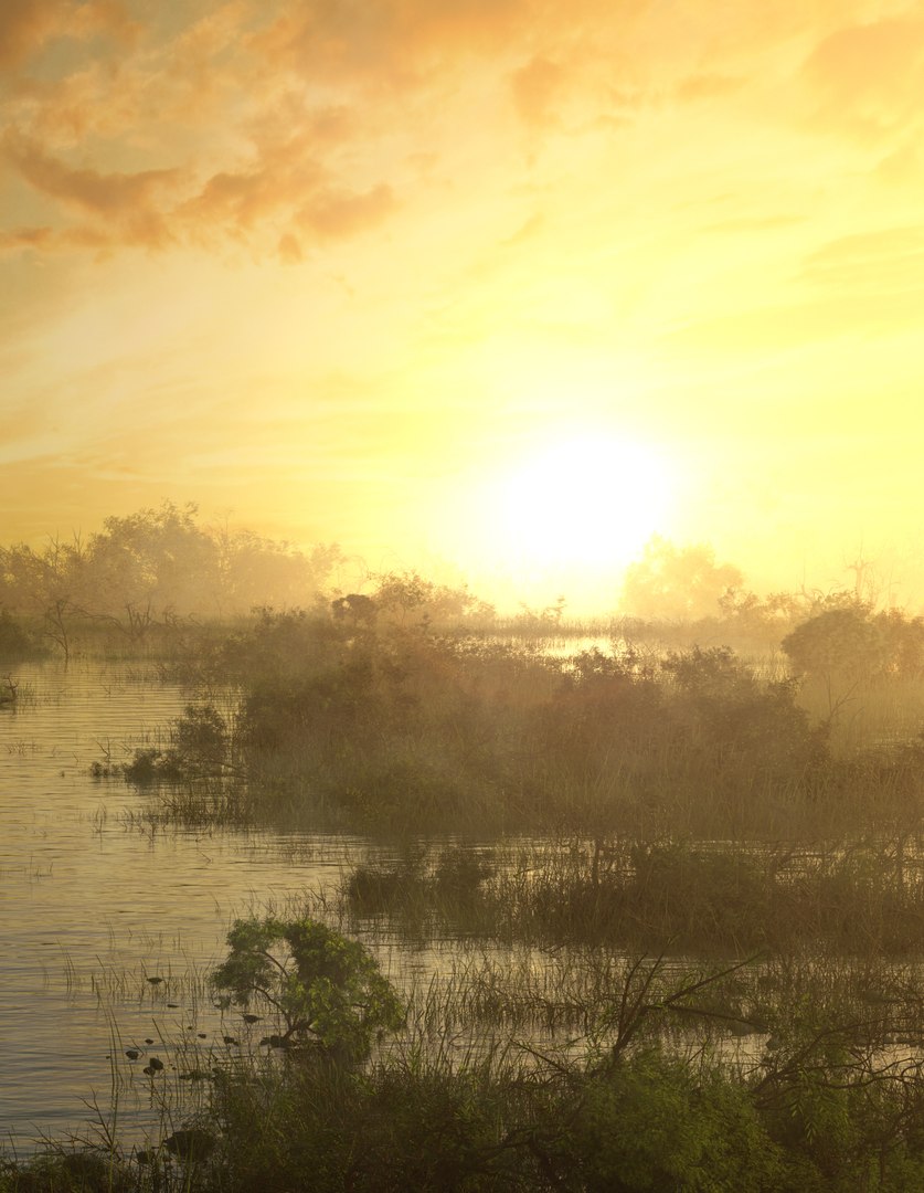 Sunset Swamp Environment 3D Model - TurboSquid 2150978