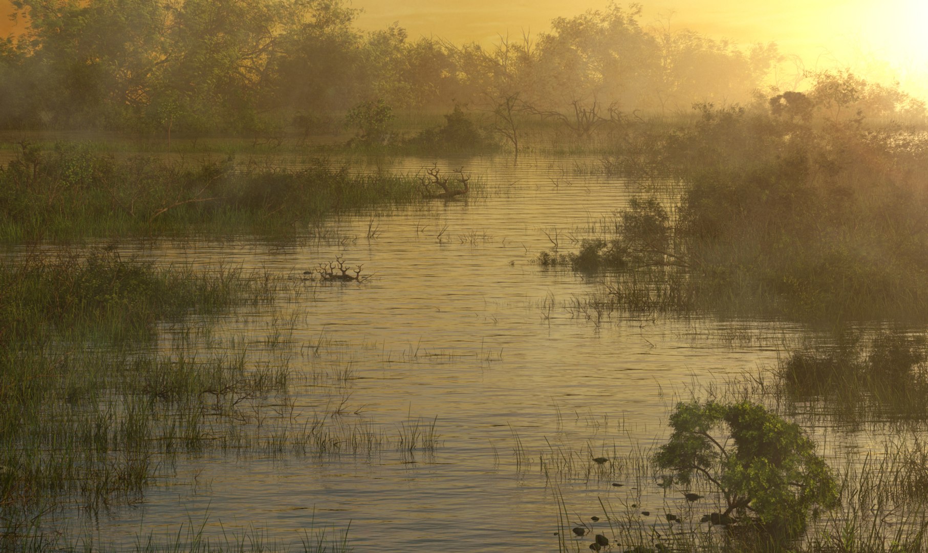Sunset Swamp Environment 3D Model - TurboSquid 2150978