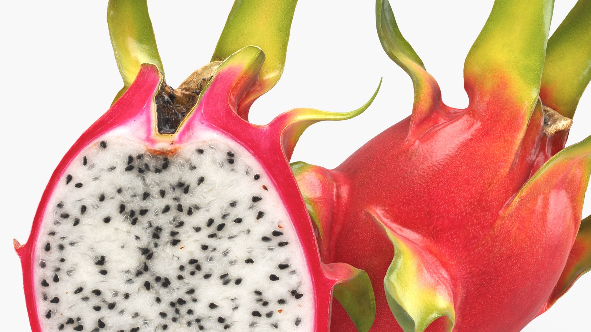 3D Dragon Fruit model - TurboSquid 1938080