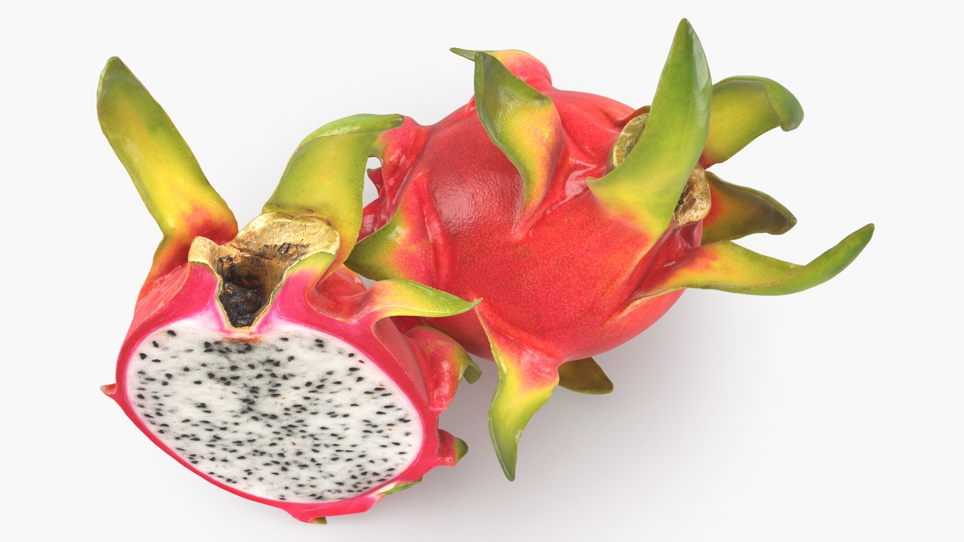 3D Dragon Fruit model - TurboSquid 1938080
