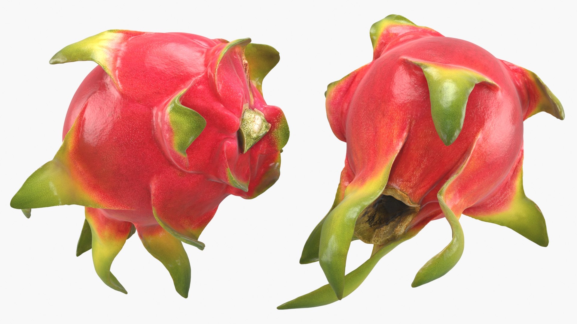 3D Dragon Fruit model - TurboSquid 1938080