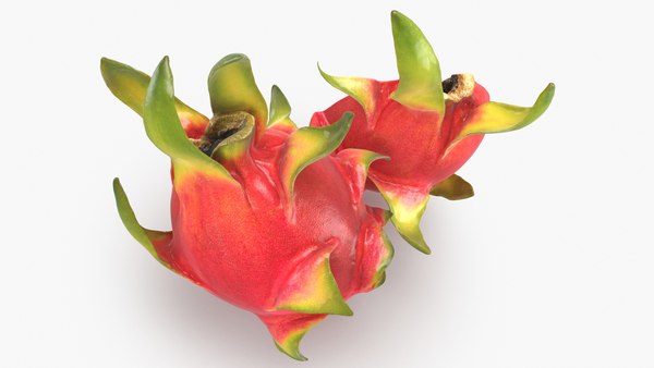 3D Dragon Fruit model - TurboSquid 1938080