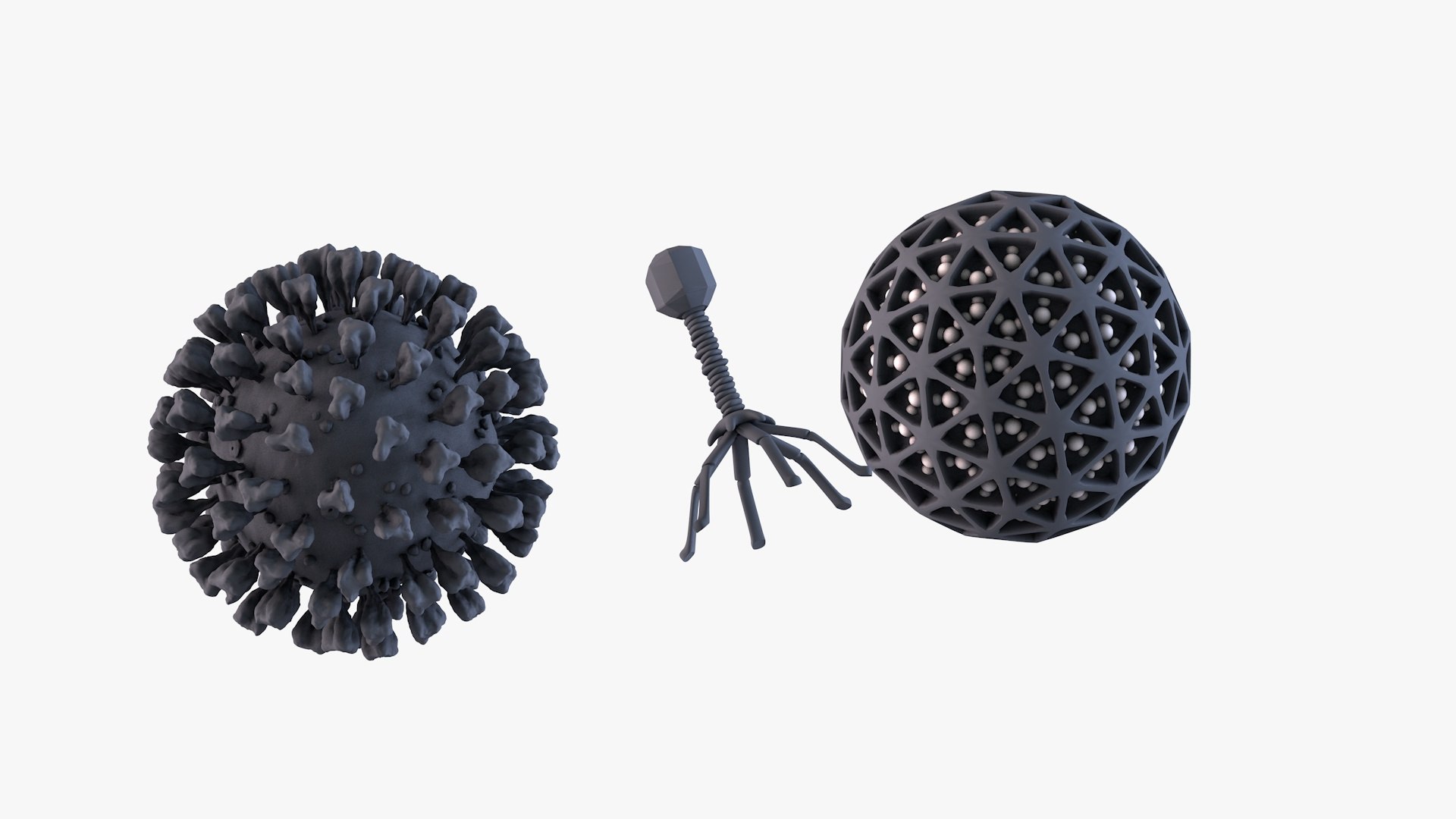 Pollen corona virus 3D model - TurboSquid 2107190