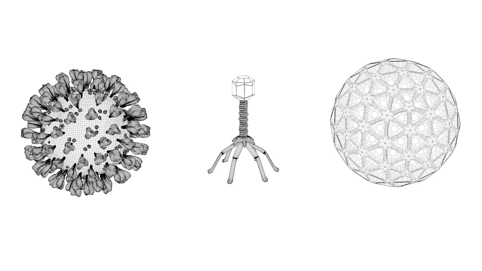 Pollen corona virus 3D model - TurboSquid 2107190