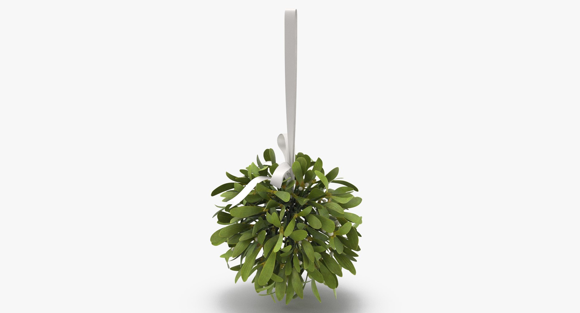 mistletoe bouquet 3d model