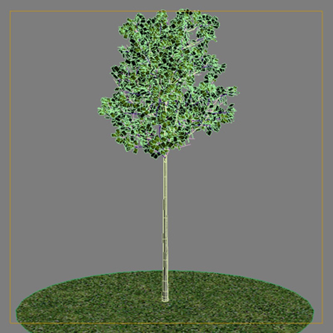 Tree - 3d Max